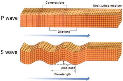 The Two Dominant Waves Generated By The Earthquake The Compression Download Scientific Diagram