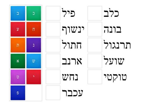 חיות ואותיות Match Up