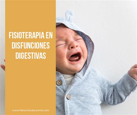 Imagen Disfunciones Digestivas Fisioterapia Guadalajara