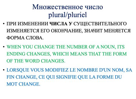 Грамматика множественное число существительных Plural Of Nouns — Русский язык как иностранный