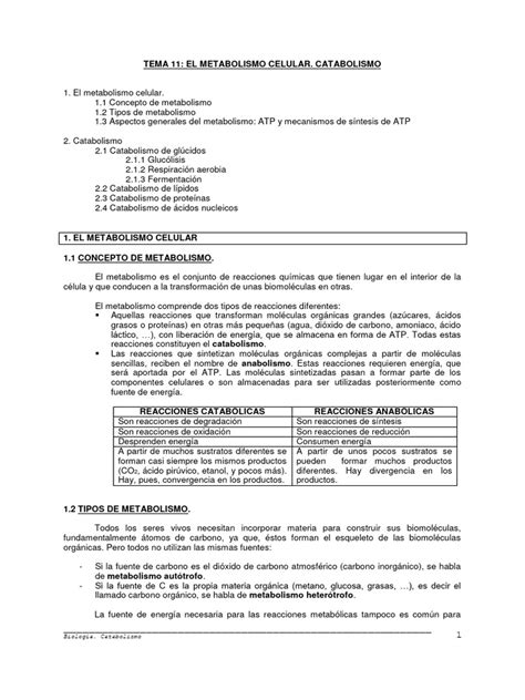 Tema11 Catabolismo 1 Pdf Dieta Y Nutrición Química