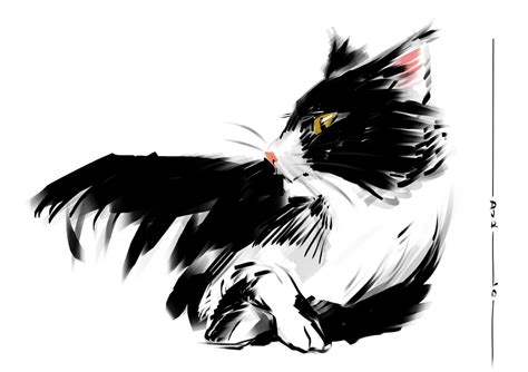For Hire Oc Rpg Characters Portrait Character Design And Concept