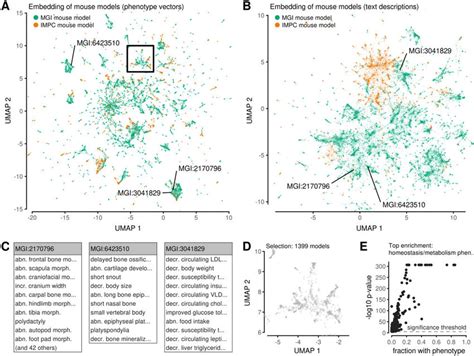 Embeddings Of Mouse Models A Embedding Of Mouse Models Based On Download Scientific Diagram