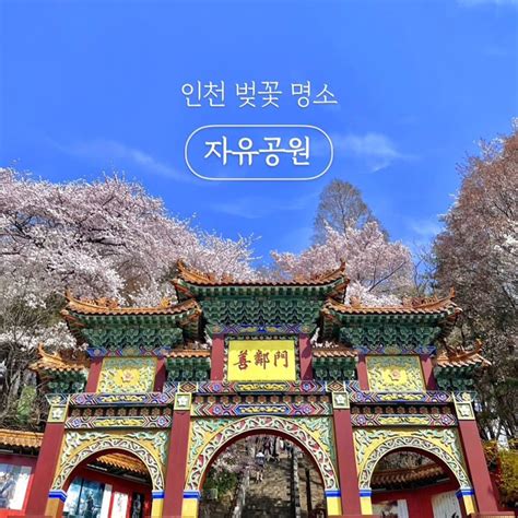 인천 벚꽃 명소 ‘자유공원 에서 인생샷 찍기 차이나타운 맛집 카페 추천까지 네이버 블로그