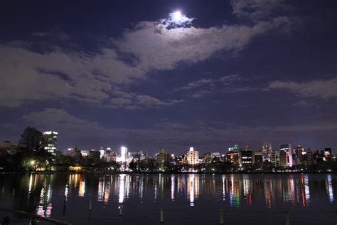 上野公園の夜桜が綺麗でした。夜景も一緒に楽しめました！ 不器用ブログ