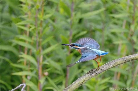 Android Parcelable Code Generator 自动化序列化的艺术 Csdn博客