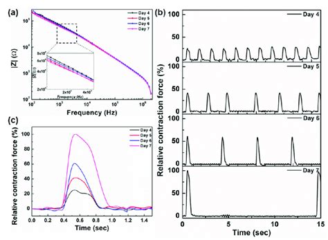 A Bode Plot Of The Impedance Spectrum Measured From Day 4 To Day 7