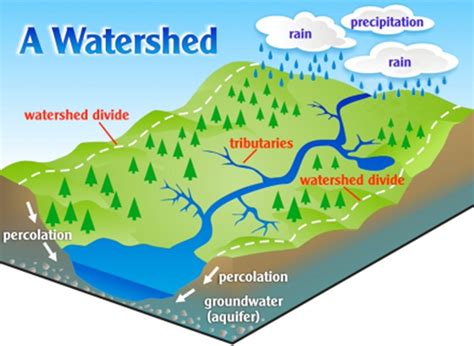 Tributary Enhancement Project Canada Bi National Public Advisory Council