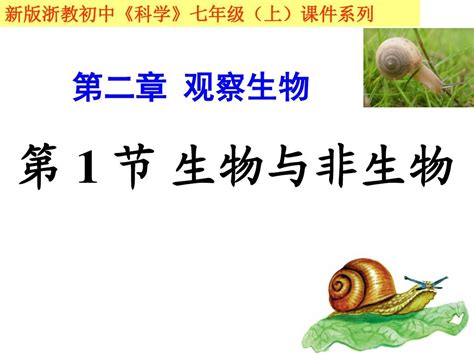 21生物与非生物新版word文档免费下载文档大全