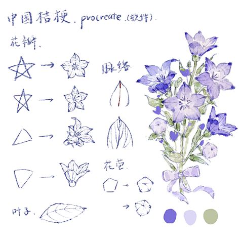 【procreate】植物教程吃尾巴的猫 站酷zcool