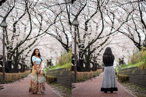真的太誇張！adobe Photoshop 新功能「生成填色」幫你無中生有，網路照片到底還能不能信？ 科市快訊