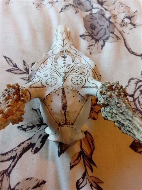 Pyrography Deer Skull Etsy