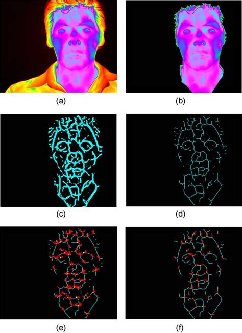 Visualization Of The Various Stages Of The Feature Extraction Download Scientific Diagram