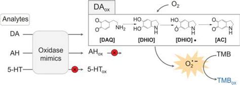 Single Nanozyme Based Colorimetric Biosensor For Dopamine With Enhanced Selectivity Via