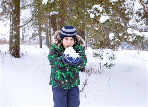 De Zes Jaar Oude Jongen Is In Het Hout Stock Afbeelding Image Of Rust Positief 97439379