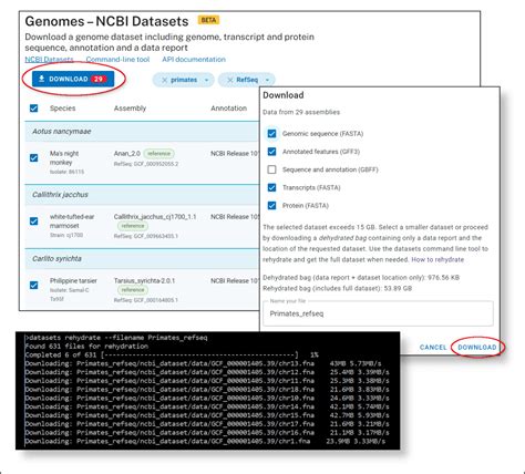 Ncbi Insights Easily Download Large Amounts Of Genomic Data With Ncbi