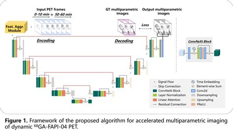 A Deep Neural Network For Accelerated Multiparametric Imaging Of