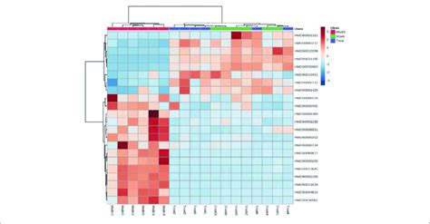 hierarchical cluster analysis heat map of potential biomarkers in
