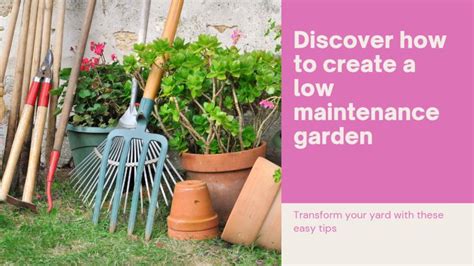 muhammad toqeer on linkedin lowmaintenancegarden gardeningtips