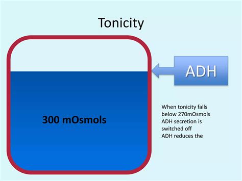Iv Fluids Ppt