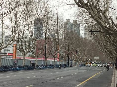 暖气团和阳光即将登场，春天要来了？气温申城时节