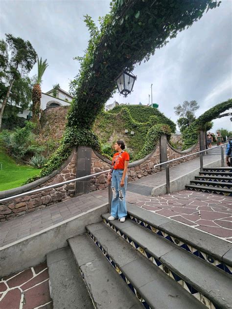 Hola Red Melva Sanchez