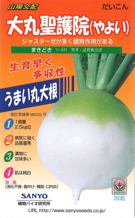 大根 【株式会社山陽種苗】野菜や果物の種苗を販売｜オンラインショップ