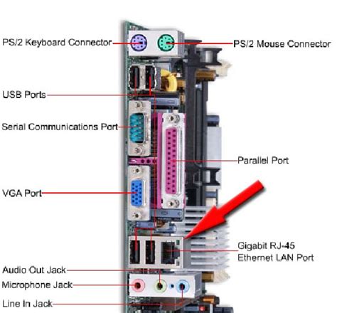 Networking Schooling How To Install A Lan Card