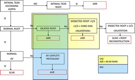 algorithm based on the anatomic extension of the dissection and