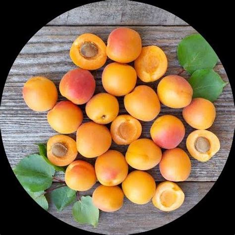 Buy Ginger Gold Apricot Seeds Sweet Juicy Apricots At Home