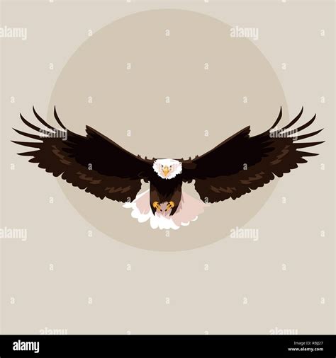 Bald Eagle Bird Flying Vector Illustration Design Stock Vector Image And Art Alamy