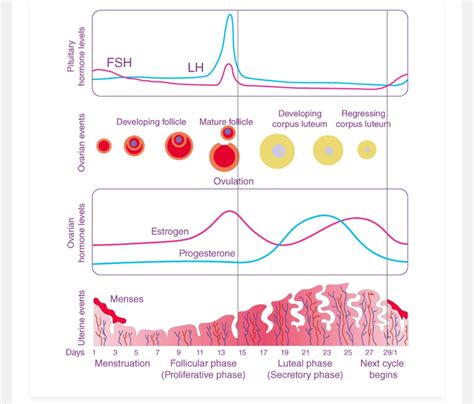 Root Finding Techniques In Matlab Newton Raphson Secant And Bisection