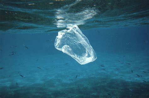 Great Pacific Garbage Patch Underwater