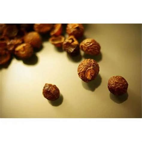 Reetha Soap Nut At ₹ 310 Kilogram Soap Nut In Tiruvallur Id 20246829888