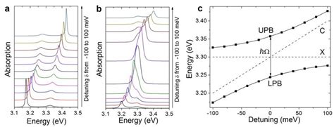 3 Strong Coupling Versus Weak Coupling Regime Simulated By The Download Scientific Diagram