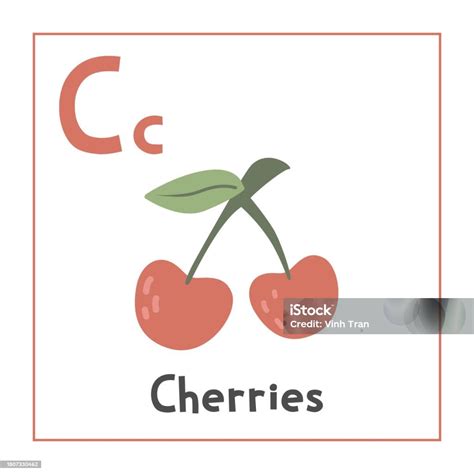 체리 클립 아트 체리 벡터 일러스트 레이 션 만화 플랫 스타일 과일은 문자 C로 시작합니다 과일 알파벳 카드 학습 문자 C 카드 어린이 교육 귀여운 체리 벡터 디자인 2 3