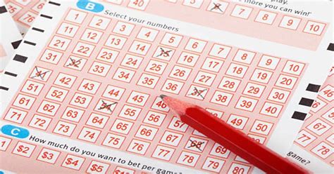 Understanding Database Schema Structure For Beginners Dev Community