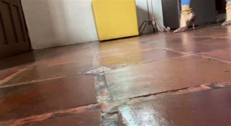 Katherine Itchy Feet Fantasy In Leopard Pumps Foot Fetish Paradise