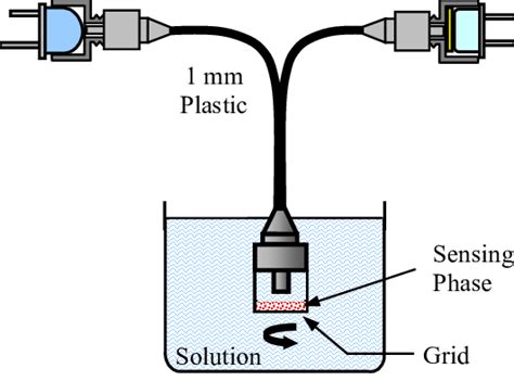 Arrangement Of The Ph Probe Download Scientific Diagram
