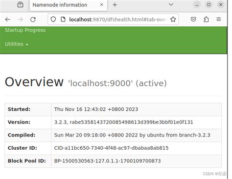【大数据存储】实验1 Hadoop伪分布式安装hadoop伪分布式安装实验 Csdn博客