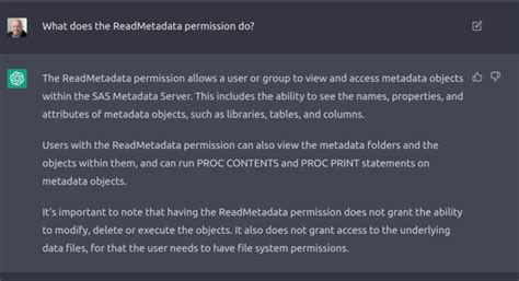 Chatgpt And Sas Metadata Security Platformadmin