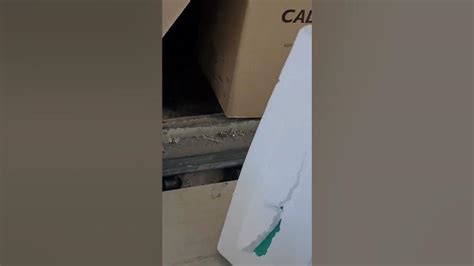 알바중인 김집사 택배 꼬라지 하고는 ㅉㅉㅉ Youtube