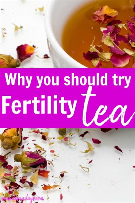 5 Herbal Teas To Increase Fertility Naturally