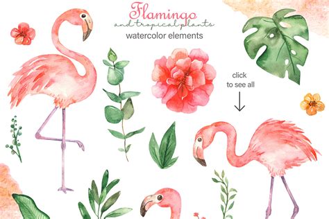 Flamingos And Tropics Watercolor Custom Designed Illustrations