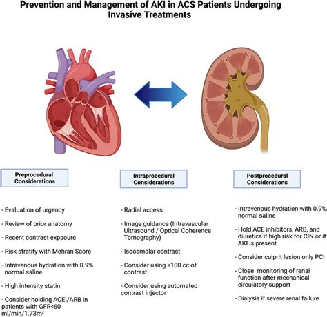 Proposed Algorithm For Management Of Aki In Acs Patients Undergoing