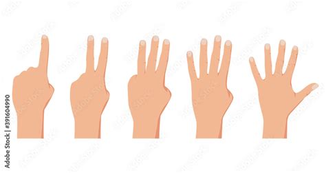 Counting From One To Five Realistic People Hands Gestures Cector Illustration Isolated On
