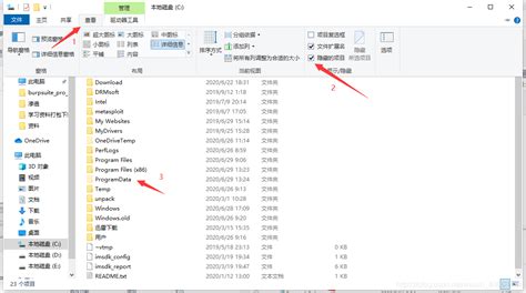 Awvs13的安装过程acunetix 安装后没有programdata目录 Csdn博客