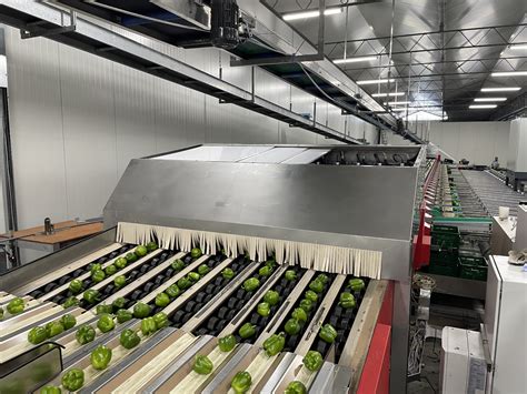 EasyX Quality Control Sorting Gearbox Innovations