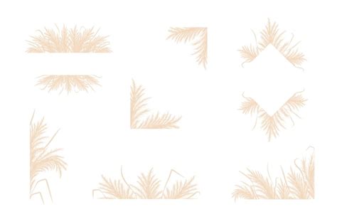 마른 억새 풀 꽃 테두리 프레임 디자인의 집합 Boho 스타일의 베이지색 Cortaderia 흰색 배경에 고립 된 벡터 꽃