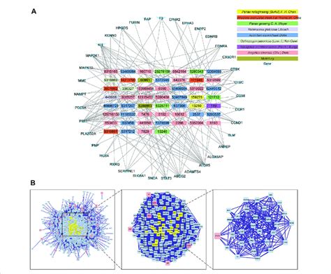 Regulatory Network And Ppi Network A Herb Ingredients Targets